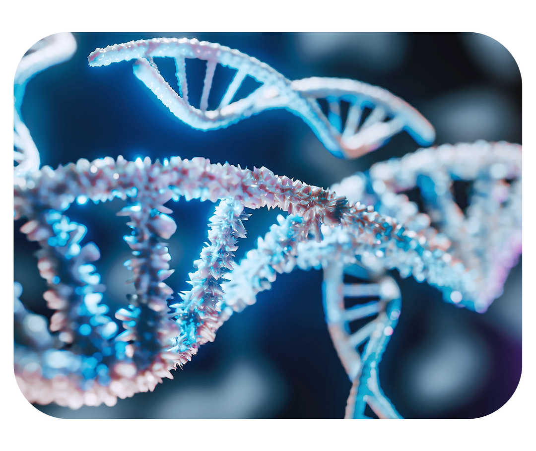 C3-Glomerulopathie verstehen | seltene-nierenerkrankungen.de